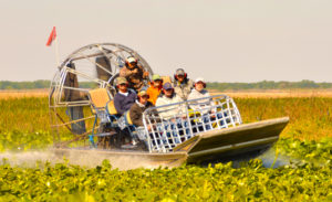 Photos - Grape Hammock Fish Camp & Airboat Rides